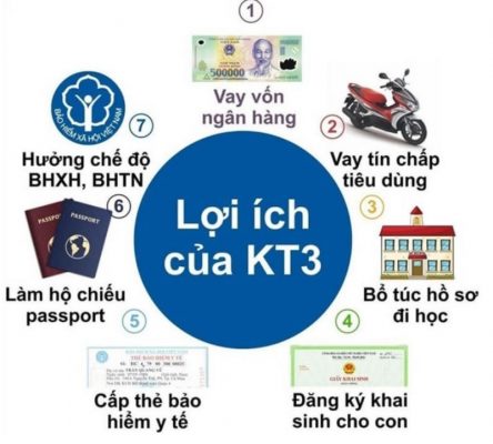 KT3 là gì và những điều cần nắm rõ trước khi đăng ký